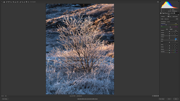 A Very Simple Tip to Make Images ‘Pop’ | Fstoppers