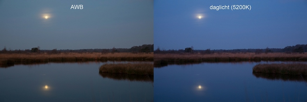 Never Trust Auto White Balance for Your Photography | Fstoppers