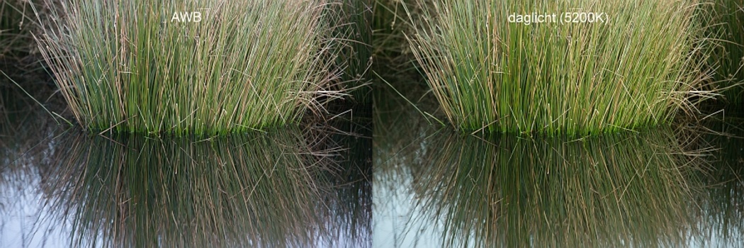 Never Trust Auto White Balance for Your Photography | Fstoppers