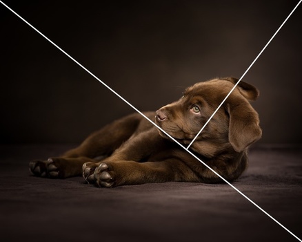 A to Z of Photography: Nan Goldin and the Golden Triangle | Fstoppers