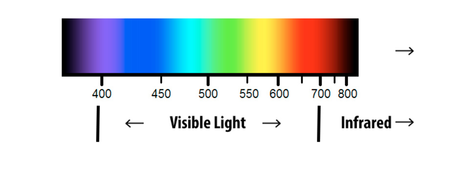Create Stunning Infrared Photography for Less Than $200 | Fstoppers