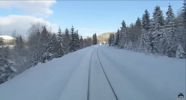 10 of the Most Interesting and Entertaining Live Cameras You Can Watch ...