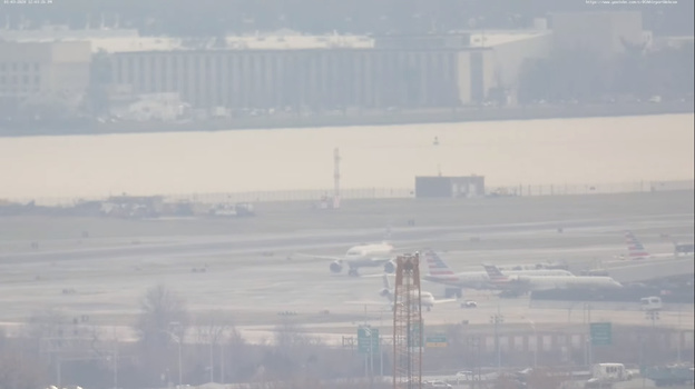 10 of the Most Interesting and Entertaining Live Cameras You Can Watch ...