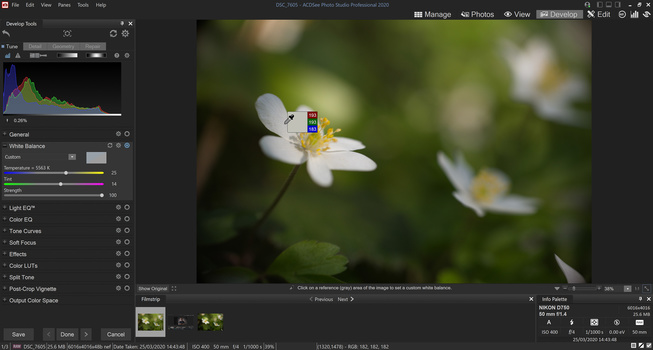 Six Editing Tips for Cleaner Nature Photos | Fstoppers