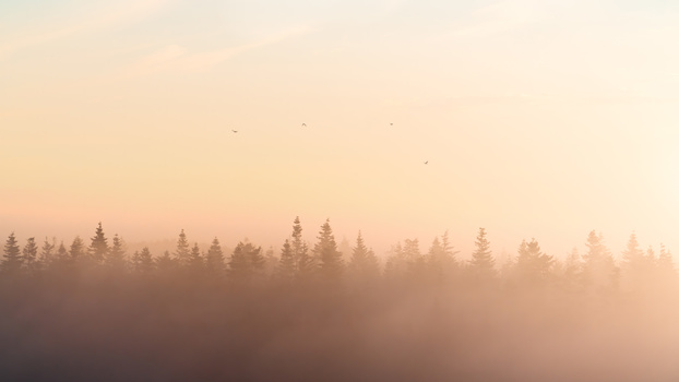 How to Take Amazing Landscape Photos When You Live in a “Boring ...