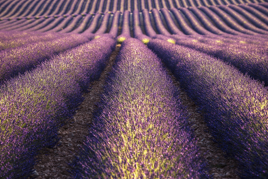 7 Simple Tips to Create a Strong Depth in Your Photos | Fstoppers