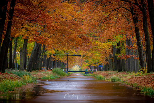 Fstoppers Reviews the Canon EOS R6 | Fstoppers