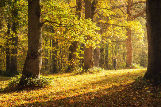 Why Denmark Is the Fantastic Landscape Photography Country You Will ...