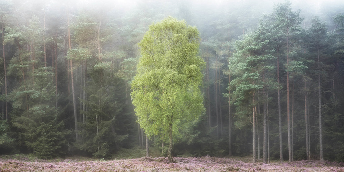 Why Denmark Is the Fantastic Landscape Photography Country You Will ...