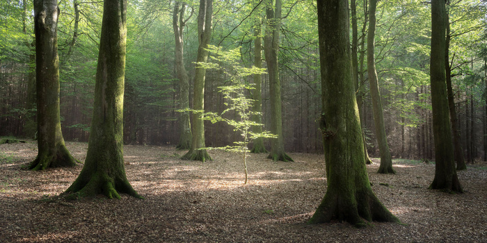 Why Denmark Is the Fantastic Landscape Photography Country You Will ...