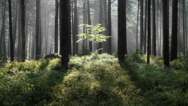 Why Denmark Is the Fantastic Landscape Photography Country You Will ...