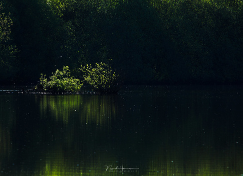 A Closer Look at High Key and Low Key Photography | Fstoppers