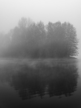 What the Fog? 7 Tips for Moody Photographs | Fstoppers