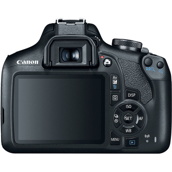 The Best Budget Canon Cameras You Can Buy in 2021: For Beginners ...