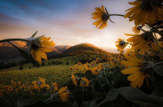 3 Fresh Tips for Spring Landscape Photography | Fstoppers