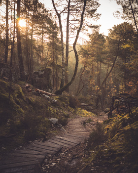 Why Choose a Terrible Lens for Landscape Photography? | Fstoppers