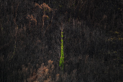 2021 Natural Landscape Photography Awards: The Winners | Fstoppers