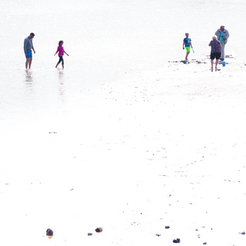 A Deeper Understanding Low and High-Key Photography is Essential for ...