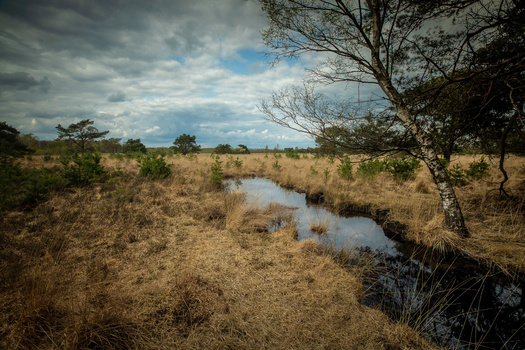 How to Find the Best Landscape Composition in Small Steps | Fstoppers