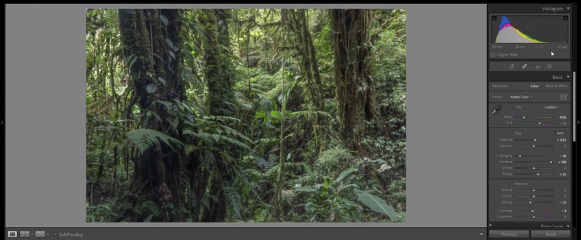 Focus Stacking Made Easy With Helicon Focus | Fstoppers