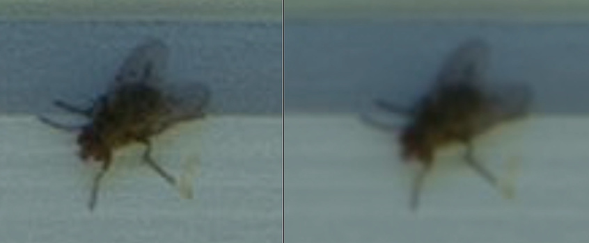 Getting Razor-Sharp Photos With Any Lens | Fstoppers