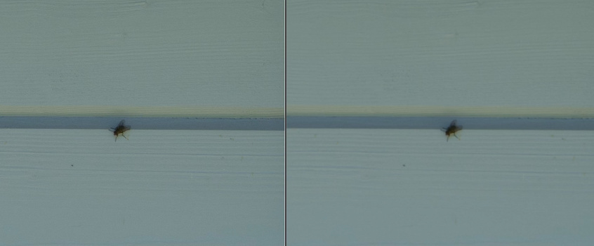 Getting Razor-Sharp Photos With Any Lens | Fstoppers