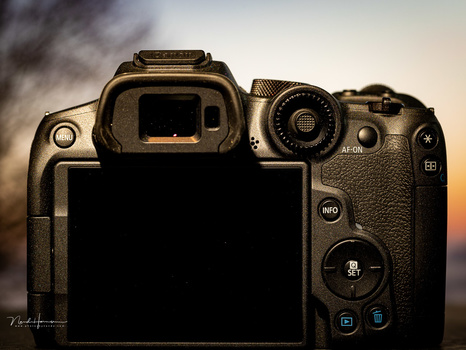 We Review the Canon EOS R7: How Does It Perform for Casual Photography ...