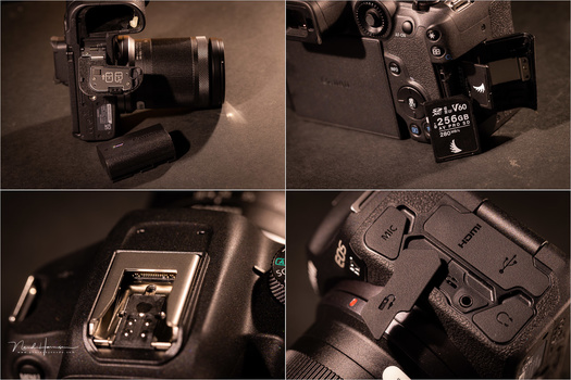 We Review the Canon EOS R7: How Does It Perform for Casual Photography ...