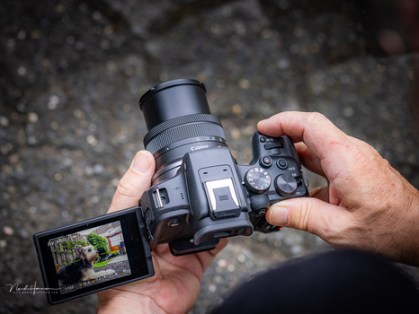 We Review the Amazing Canon EOS R10 Mirrorless Camera | Fstoppers