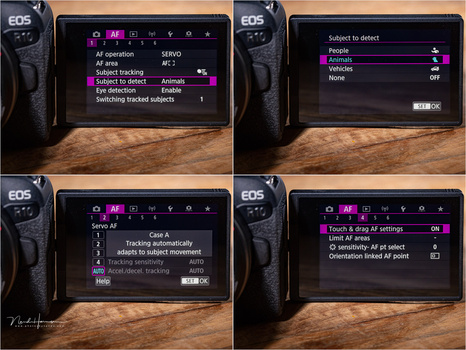 We Review the Amazing Canon EOS R10 Mirrorless Camera | Fstoppers