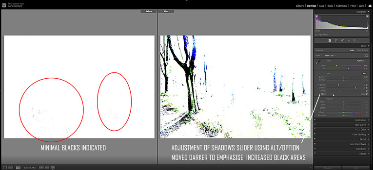 Do You Use The Alt/Option Key in Lightroom? Here's Why You Should ...