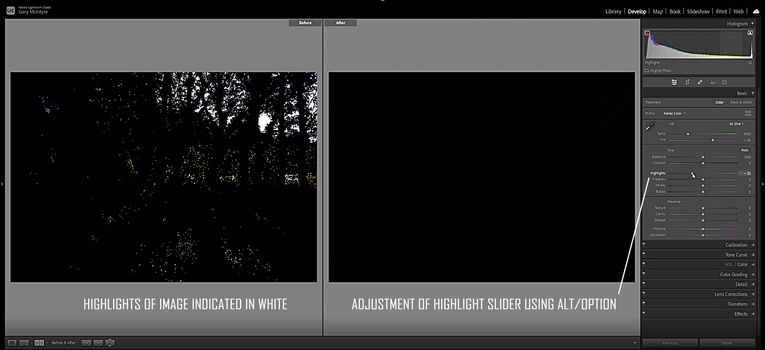 Do You Use The Alt/Option Key in Lightroom? Here's Why You Should ...