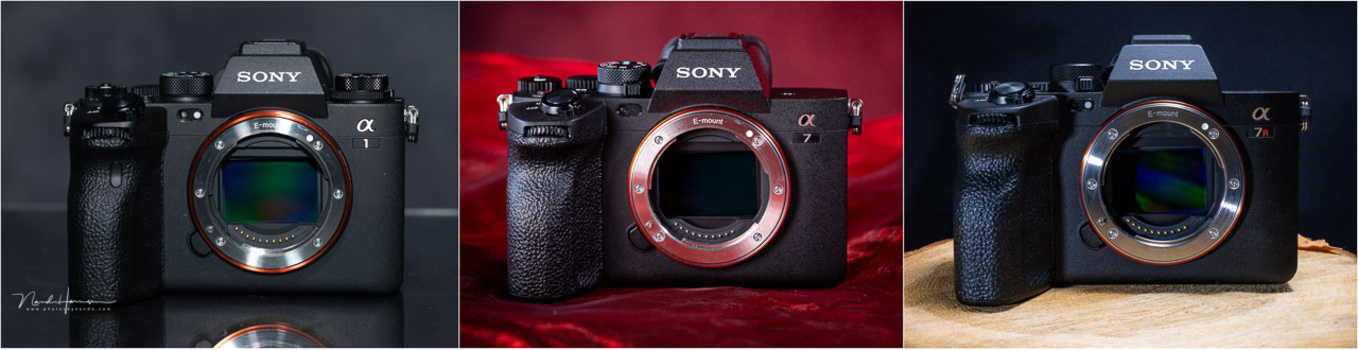 Which Photographer Is the Sony a7R V Intended For? A Critical Review ...