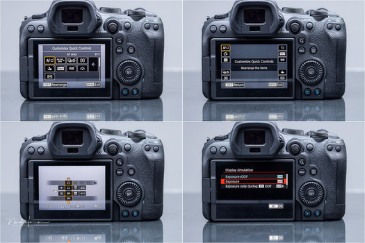 My Review of the Canon EOS R6 Mark II: Is It Better Than the First ...