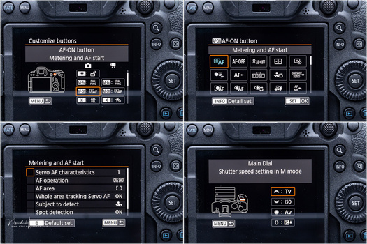 My Review of the Canon EOS R6 Mark II: Is It Better Than the First ...