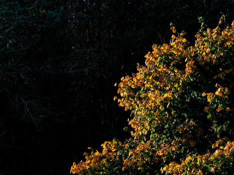 Why Some Photographers and Their Cameras Are Better at Getting a Correct Exposure Than Others ...