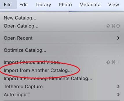 Essential Ways to Manage Your Photography Files Using Lightroom Classic ...