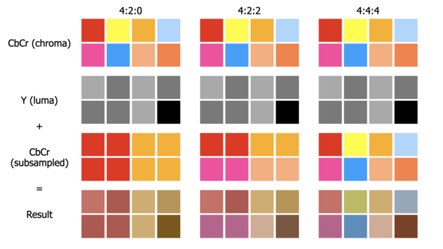 As a Videographer, Should You Shoot in 4:2:0, 4:2:2, or Raw? A Primer ...