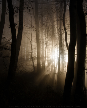 Critique the Community: Submit Your Best "Backlit" Photograph | Fstoppers