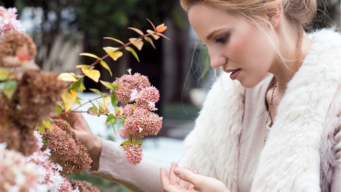 Scrim It and Light It - How to Photograph in Hard, Direct Sunlight ...