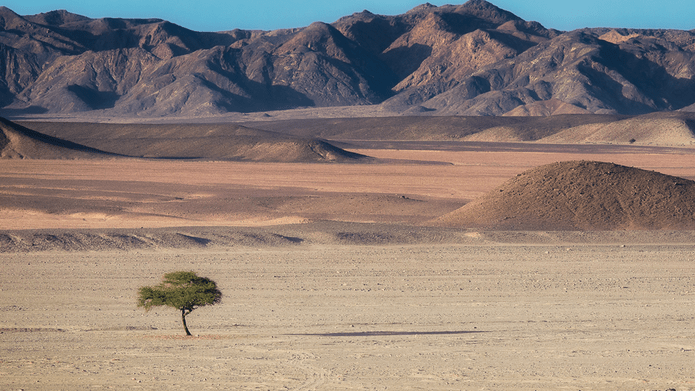 Mix it Up With These 30 Composition Styles for Photography | Fstoppers