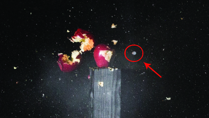 Fstoppers Reviews The Strobe That Can 'Stop' Bullets - The Hensel Cito ...