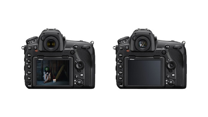 The Difference Between a DSLR's Viewfinder Autofocus and Live View ...
