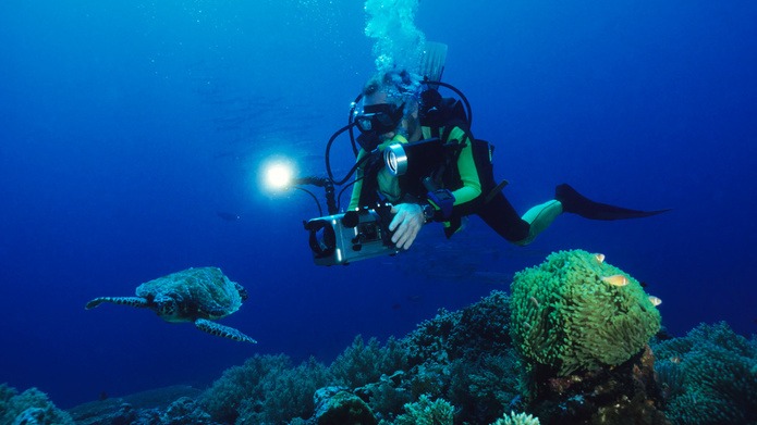 BBC’s 'Blue Planet' Is Back and It’s Better Than Ever | Fstoppers