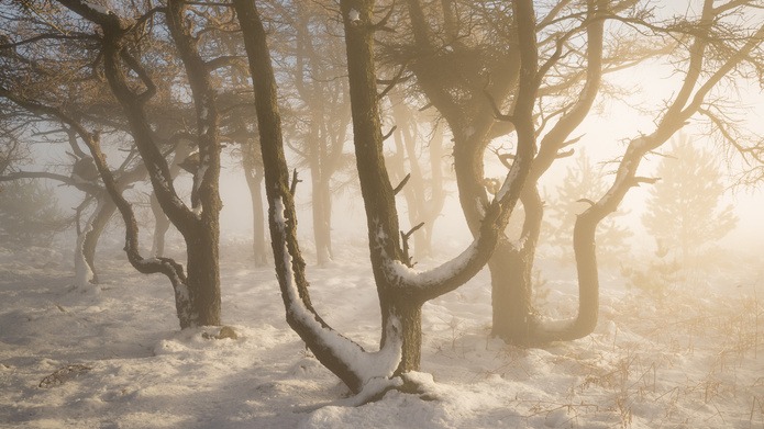 Fine Art Landscape Photography (Part 3): The Introvert Mind Featuring ...