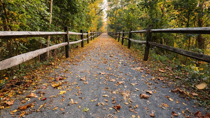 Direct Your Audience Through Your Photos With the Help of Leading Lines ...