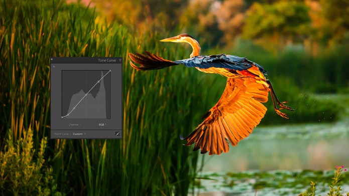 7 Tone Curve Tips That Will Make Your Editing Better | Fstoppers
