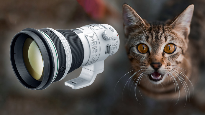 Canon’s 2020 RF Lens Roadmap Emerges: Six New Lenses, Including a Nifty ...