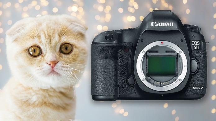 There Will Be No Canon 5D Mark V, and Photographers Will Lose out as a ...
