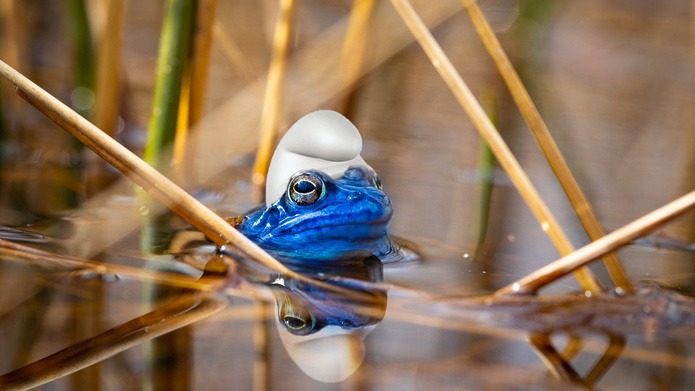 Are Your Photos Real or Not? If They Are Real, How Do You Prove It ...